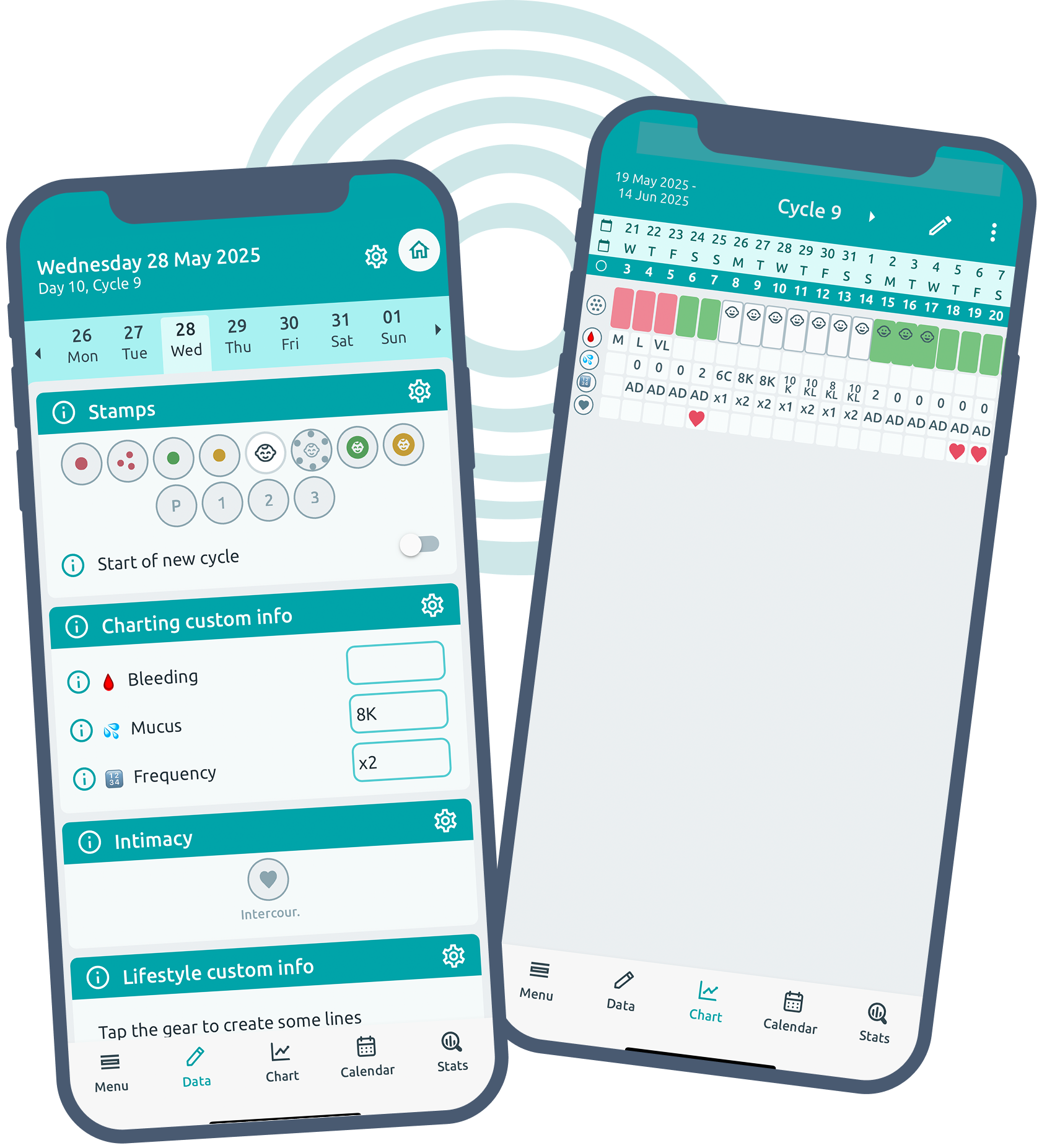 Stamps + codes settings template – Read Your Body