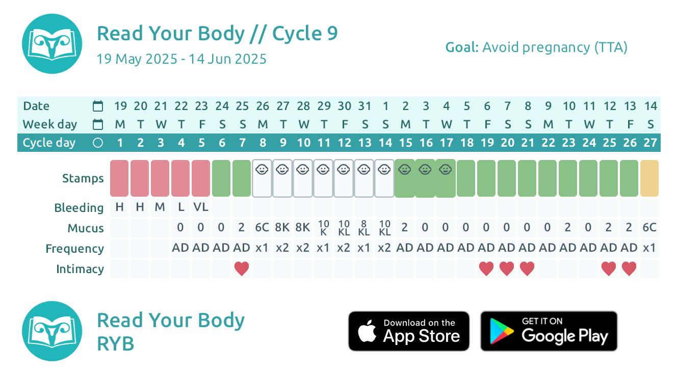 Stamps + codes settings template – Read Your Body
